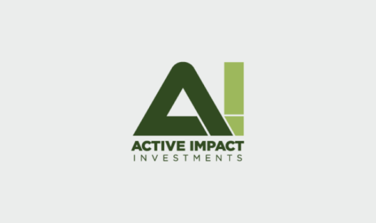 Investment Portfolio | InBC Investment Corp.